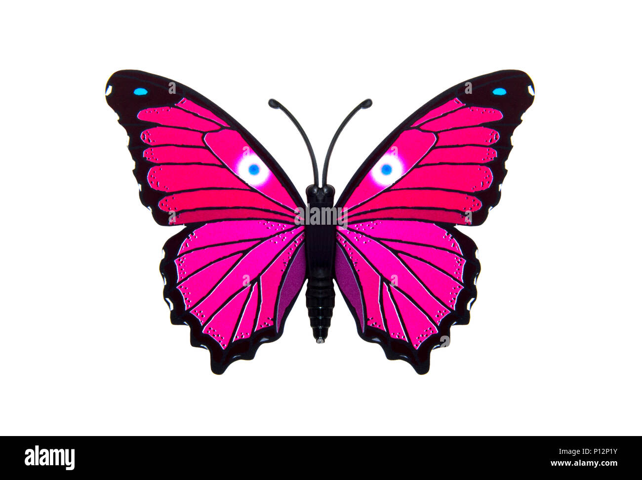 Beautiful pink colored butterfly isolated over white Stock Photo - Alamy