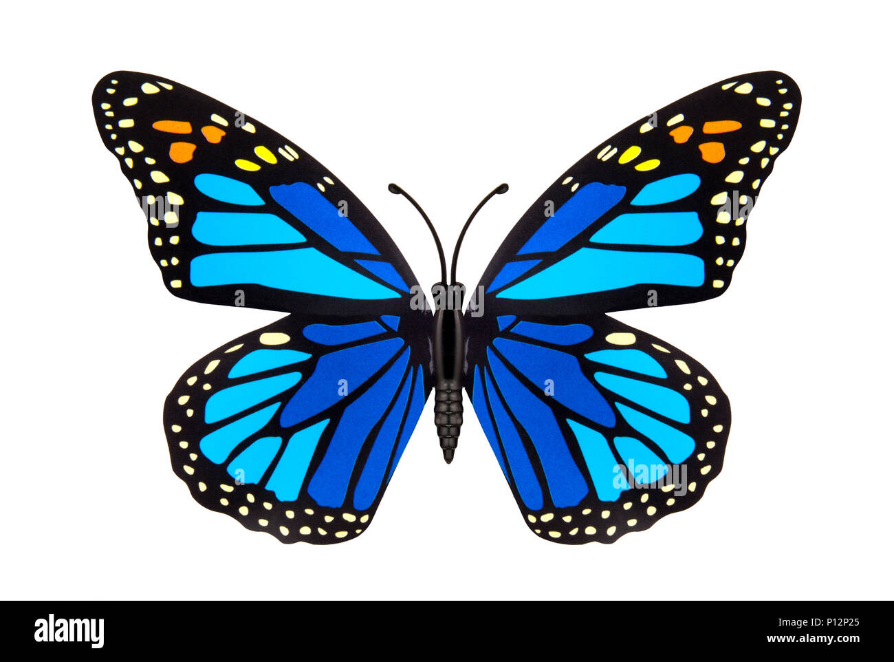 Beautiful blue colored butterfly isolated over white Stock Photo - Alamy
