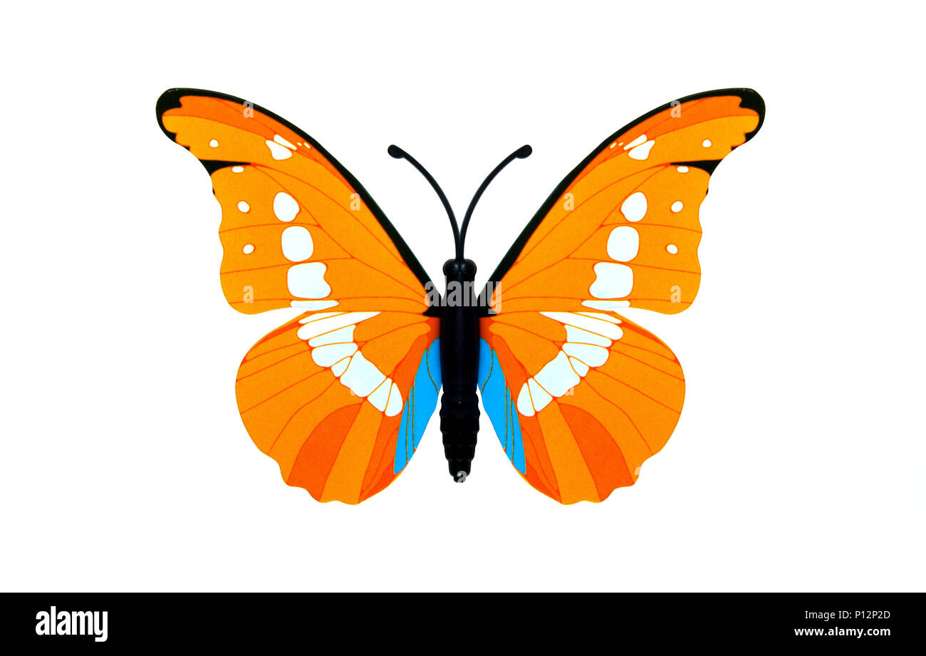 Beautiful orange colored butterfly isolated over white Stock Photo - Alamy