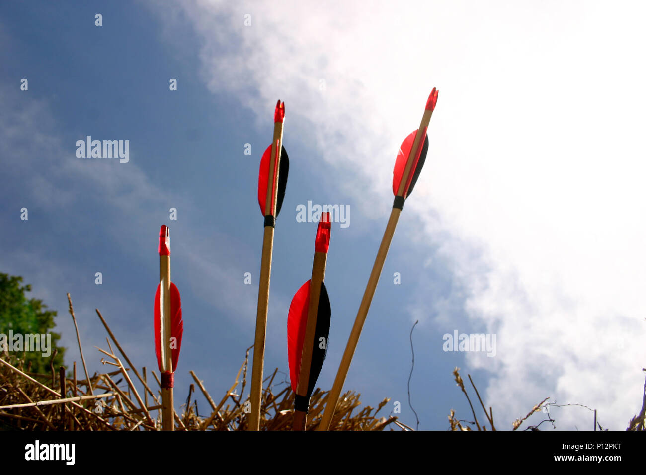 War of the arrows hi-res stock photography and images - Alamy