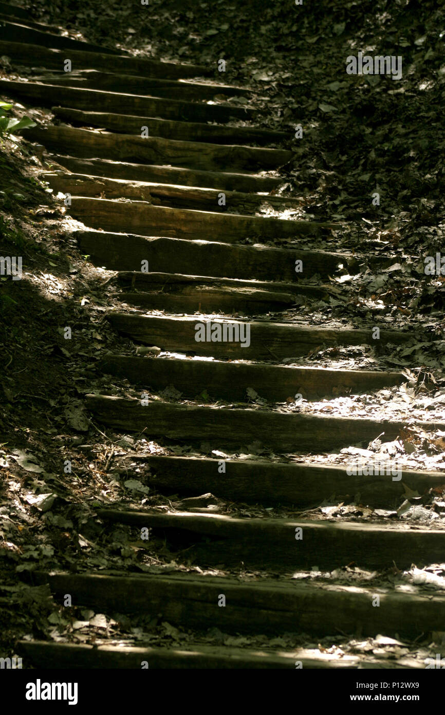 Uphill wooden steps hi-res stock photography and images - Alamy