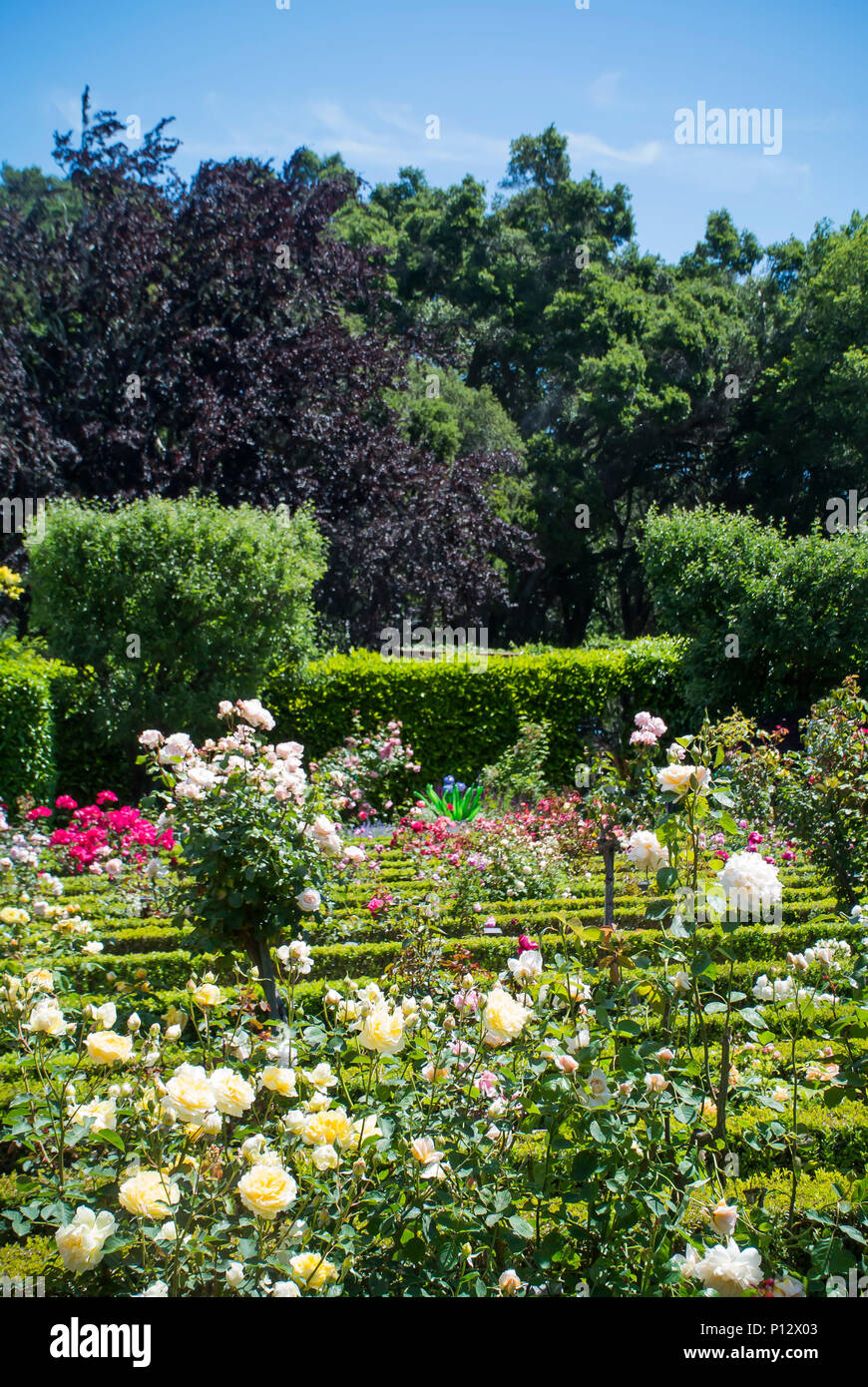Landscaped formal garden hi-res stock photography and images - Alamy