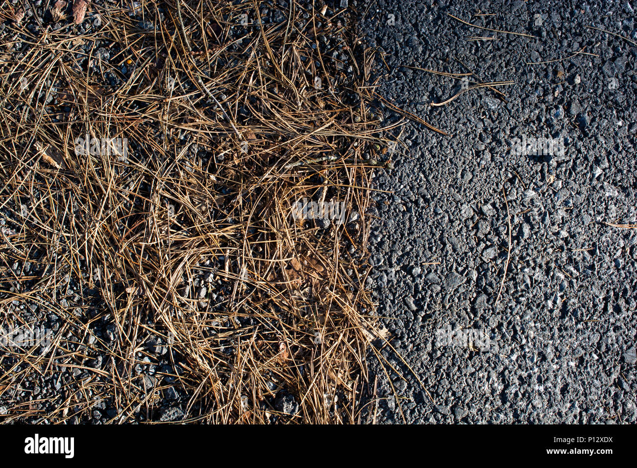 Texture background of autumn season with leaves Stock Photo - Alamy