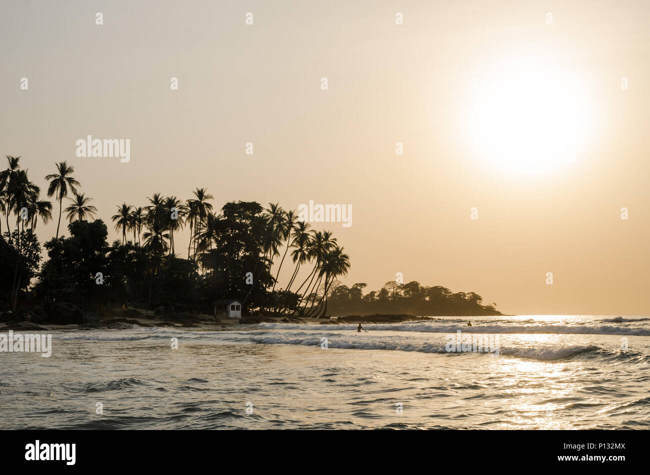 Beautiful Bureh Beach during sunset with silhouettes of palms and ...