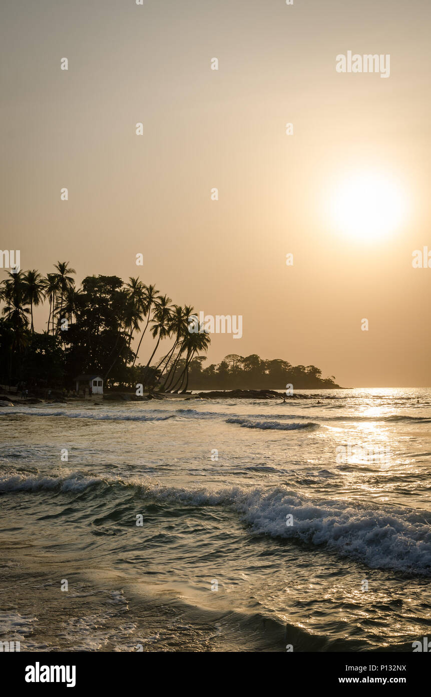 Beautiful Bureh Beach during sunset with silhouettes of palms and ...