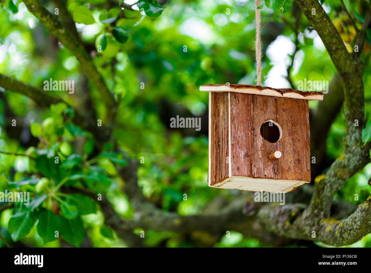 Tree with birdhouses hi-res stock photography and images - Alamy