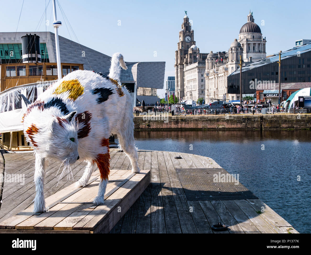 Ship's cat and Super rat, art exhibit by Faith Bebbington, Albert Dock ...