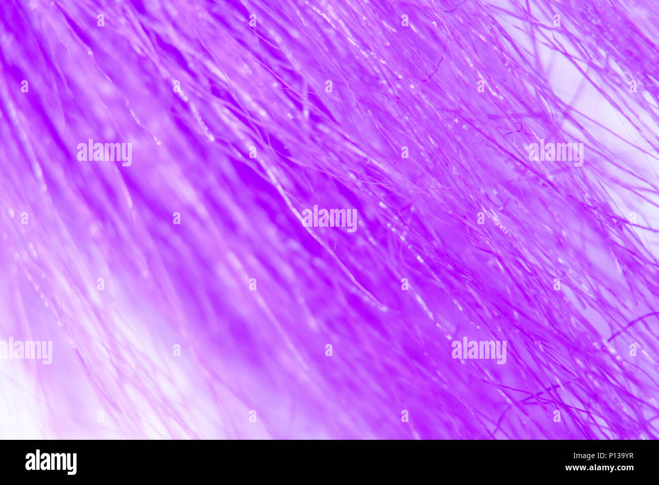 Texture of thin purple hair or fur strands for background Stock Photo ...