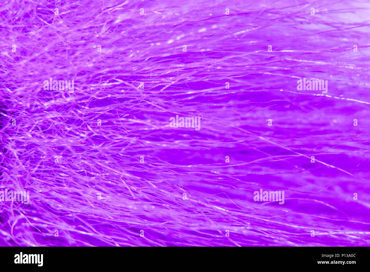 Purple Strands High Resolution Stock Photography and Images - Alamy
