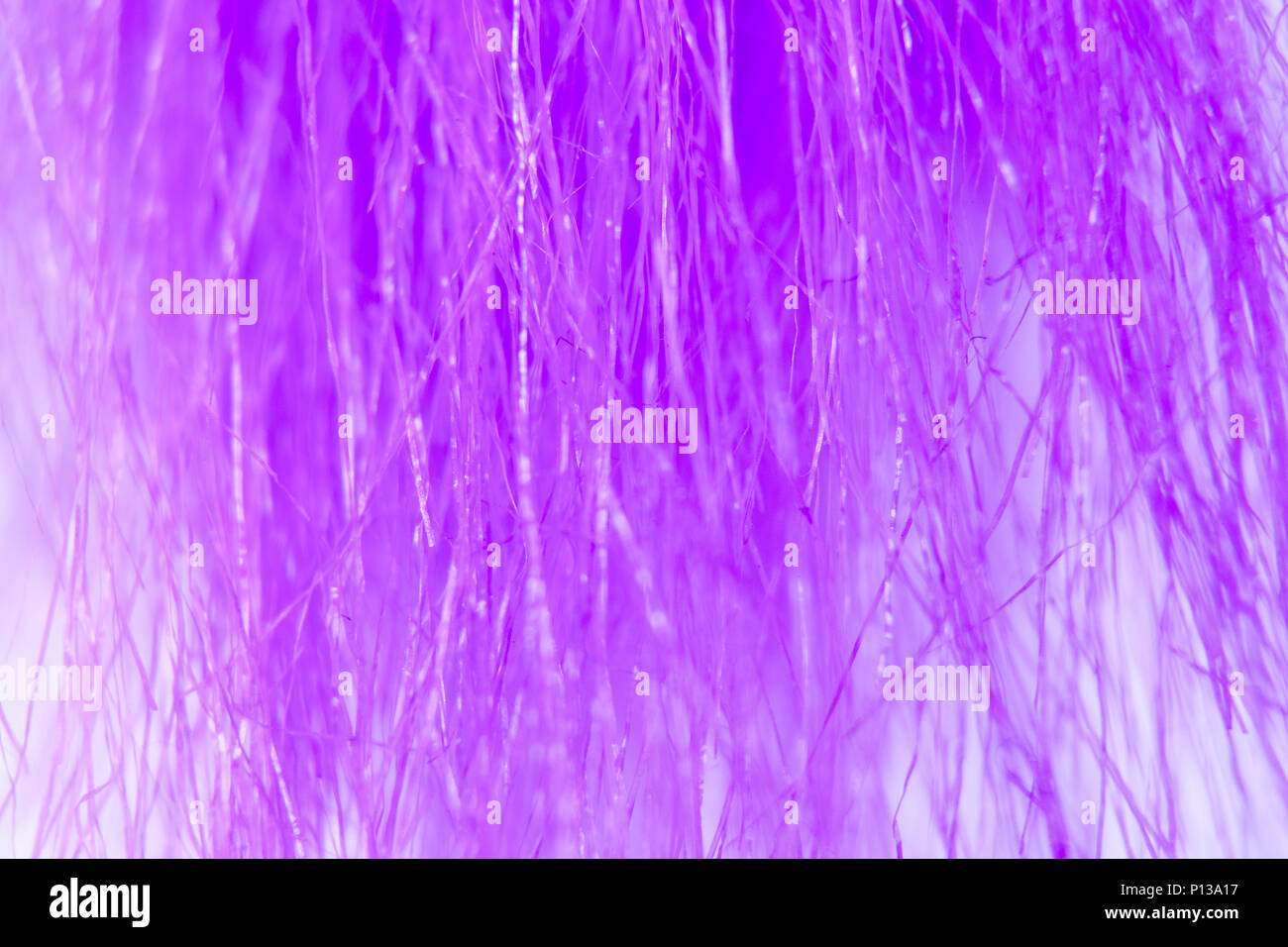 Texture of thin purple hair or fur strands for background Stock Photo ...
