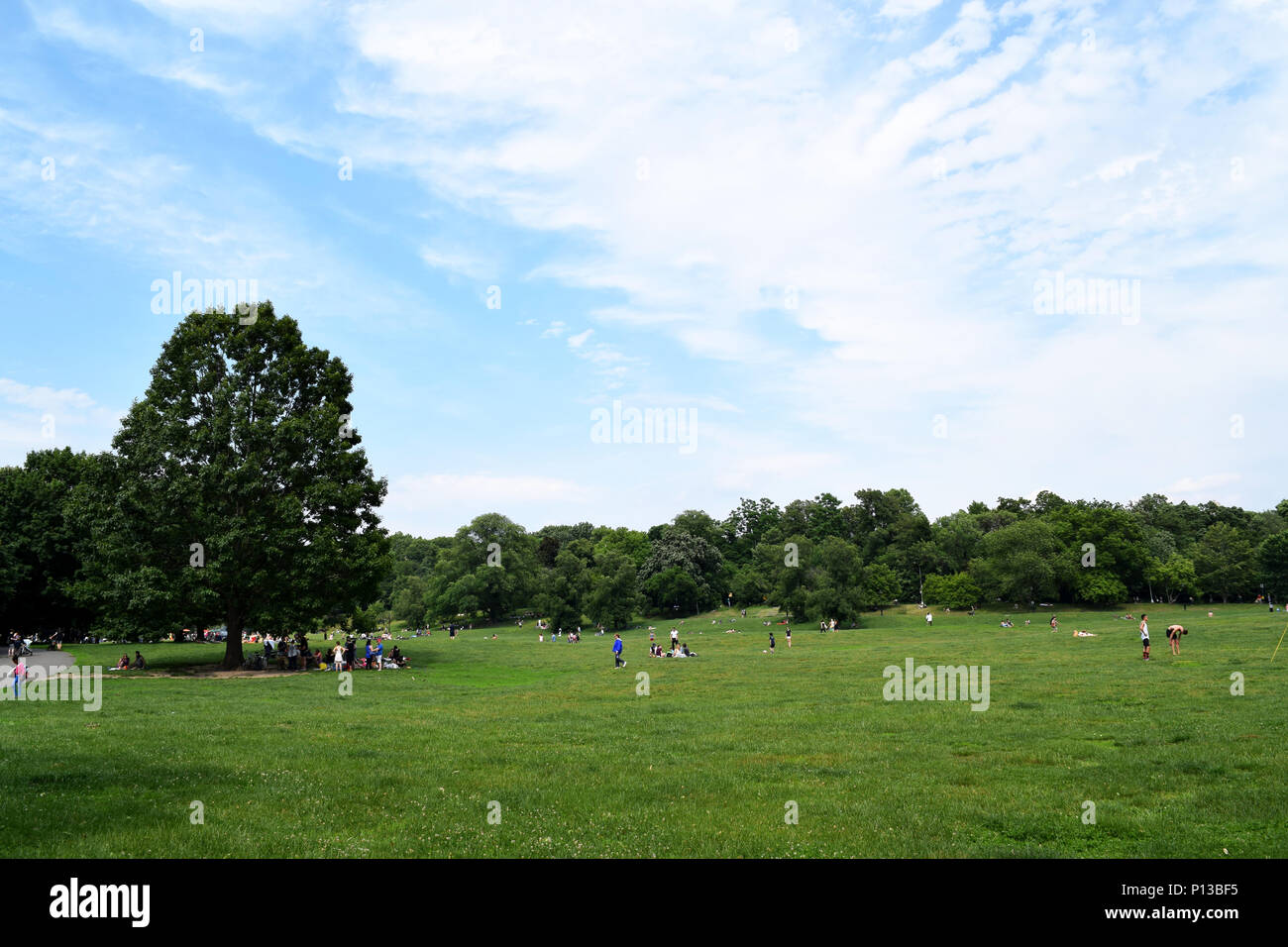 Prospect Park Parks Brooklyn New York City High Resolution Stock ...