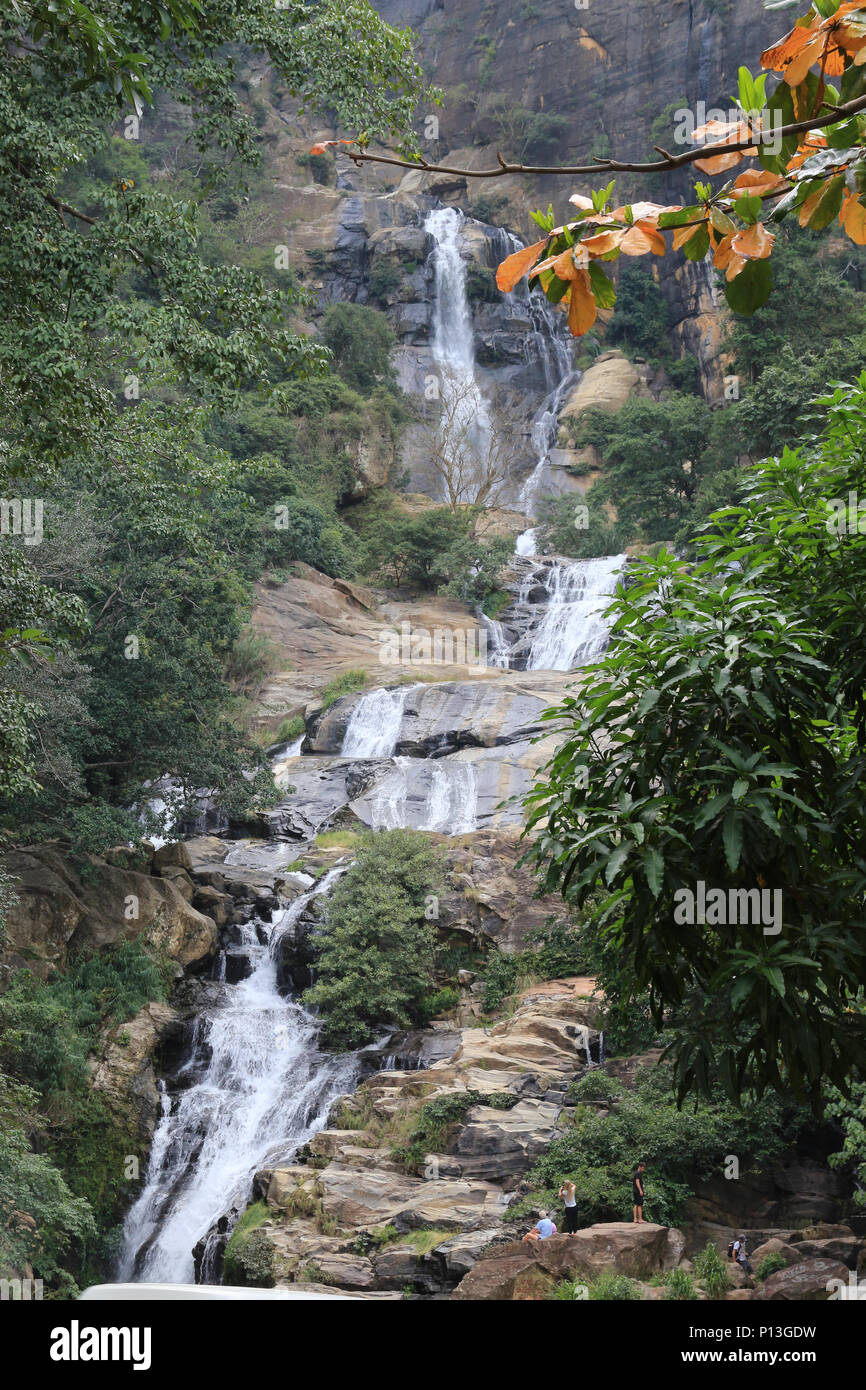 Waterfall in jungle sri lanka hi-res stock photography and images - Alamy