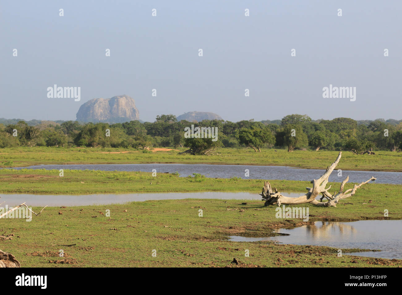 From yala national park hi-res stock photography and images - Alamy