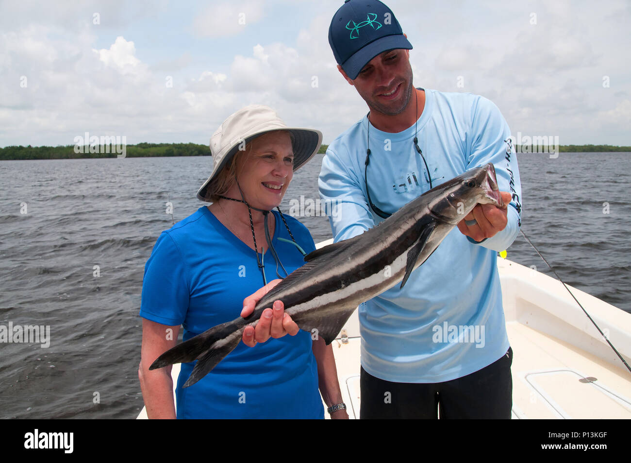 Cobia fish hi-res stock photography and images - Alamy