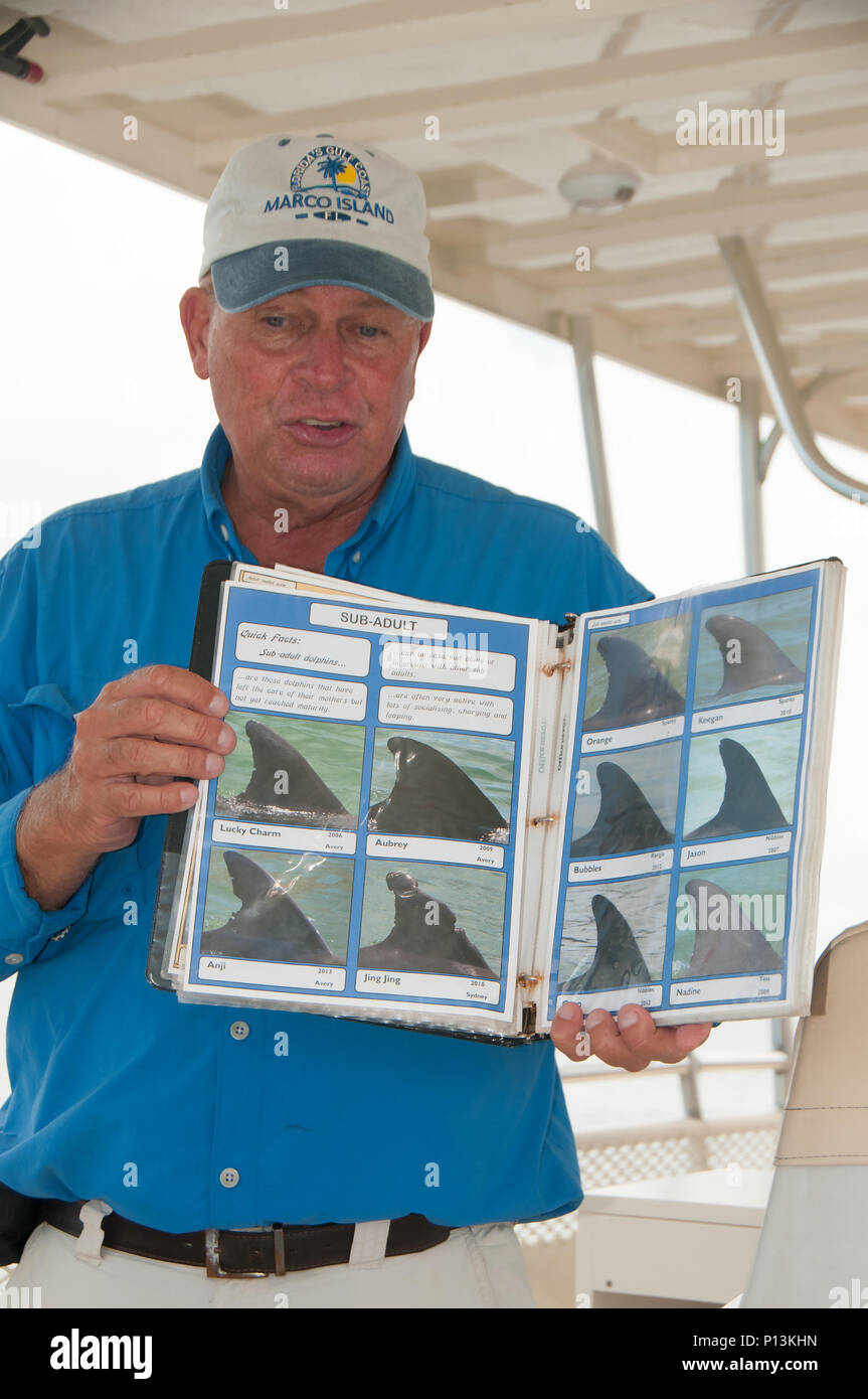 The Dolphin Explorer offers guests an opportunity to participate in ...