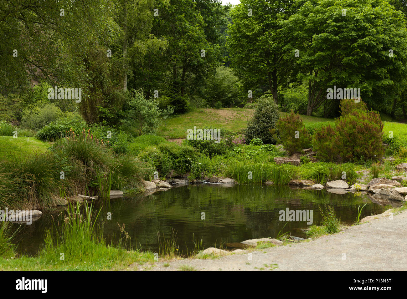 Beautiful Alley In Park. Garden Landscaping Design Concept Stock Photo ...