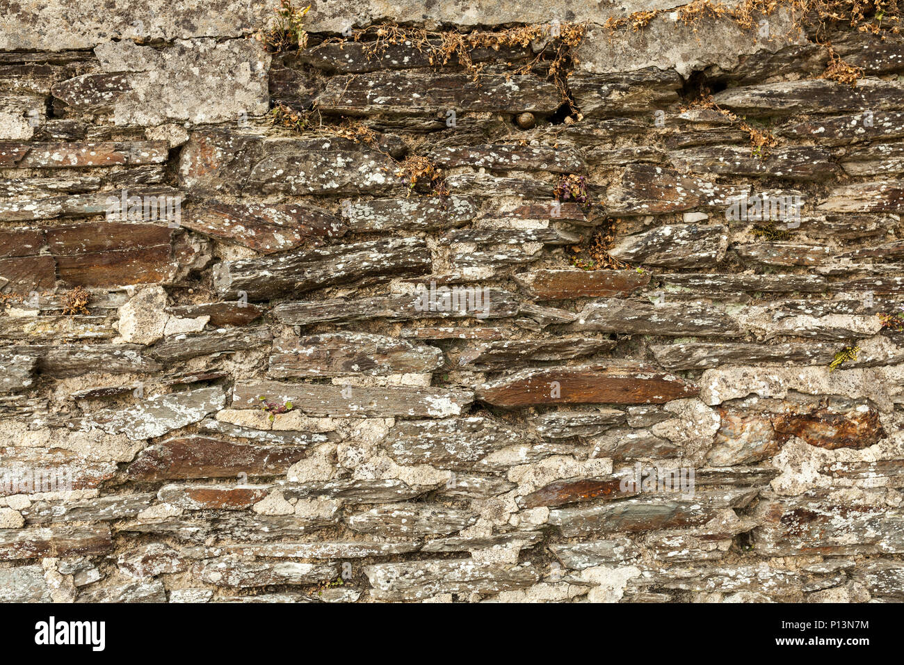 Decorative sandstone wall seamless texture hi-res stock photography and ...