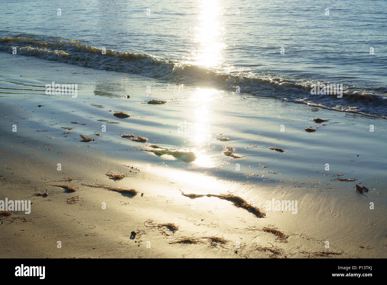 Seashore reflection hi-res stock photography and images - Alamy
