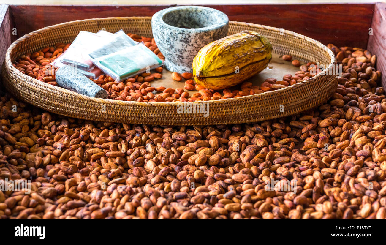 Fresh Cocoa Beans in Bin Drying on St Lucia Stock Photo - Alamy