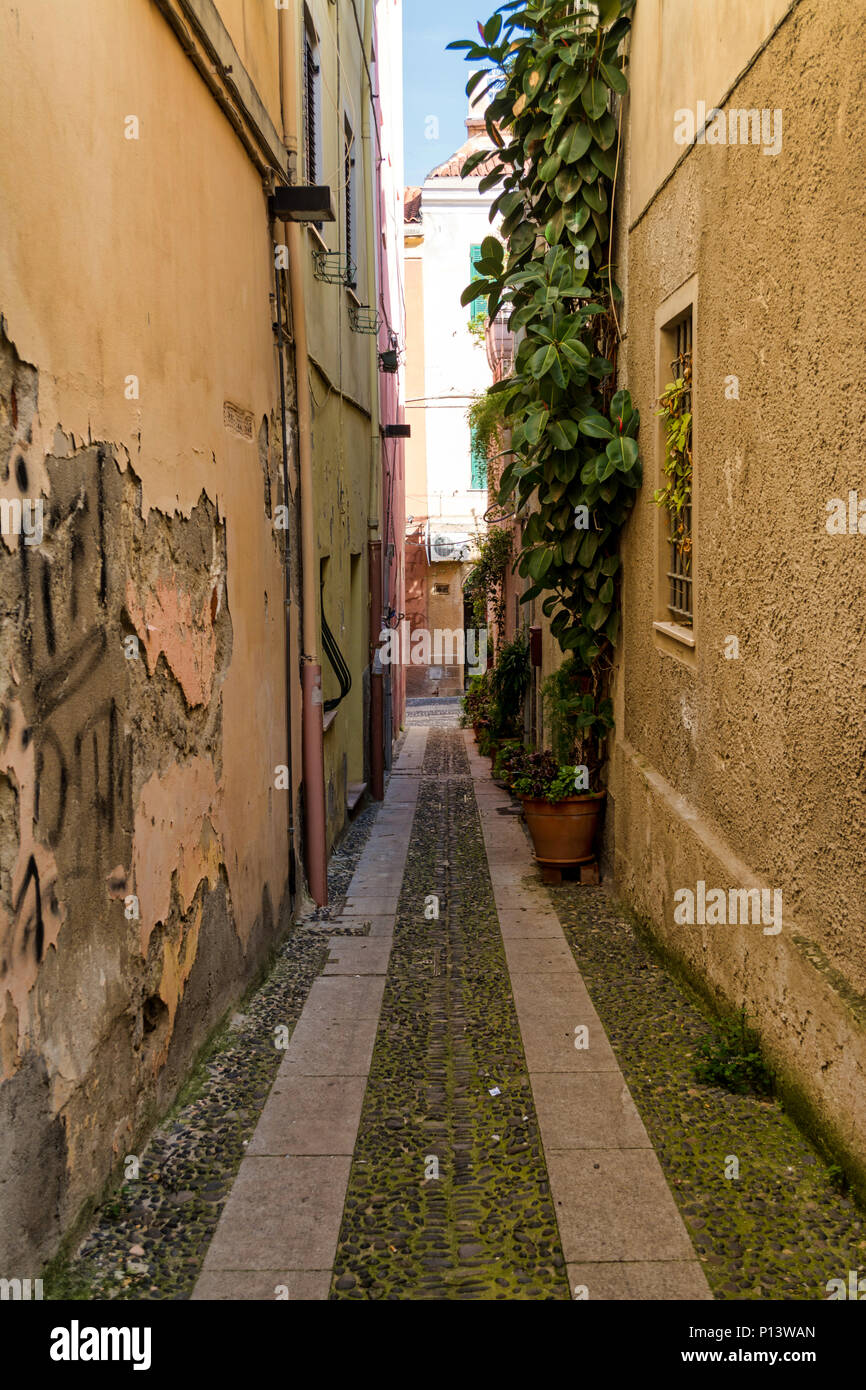 Desert alley in Sassari old city in spring Stock Photo - Alamy