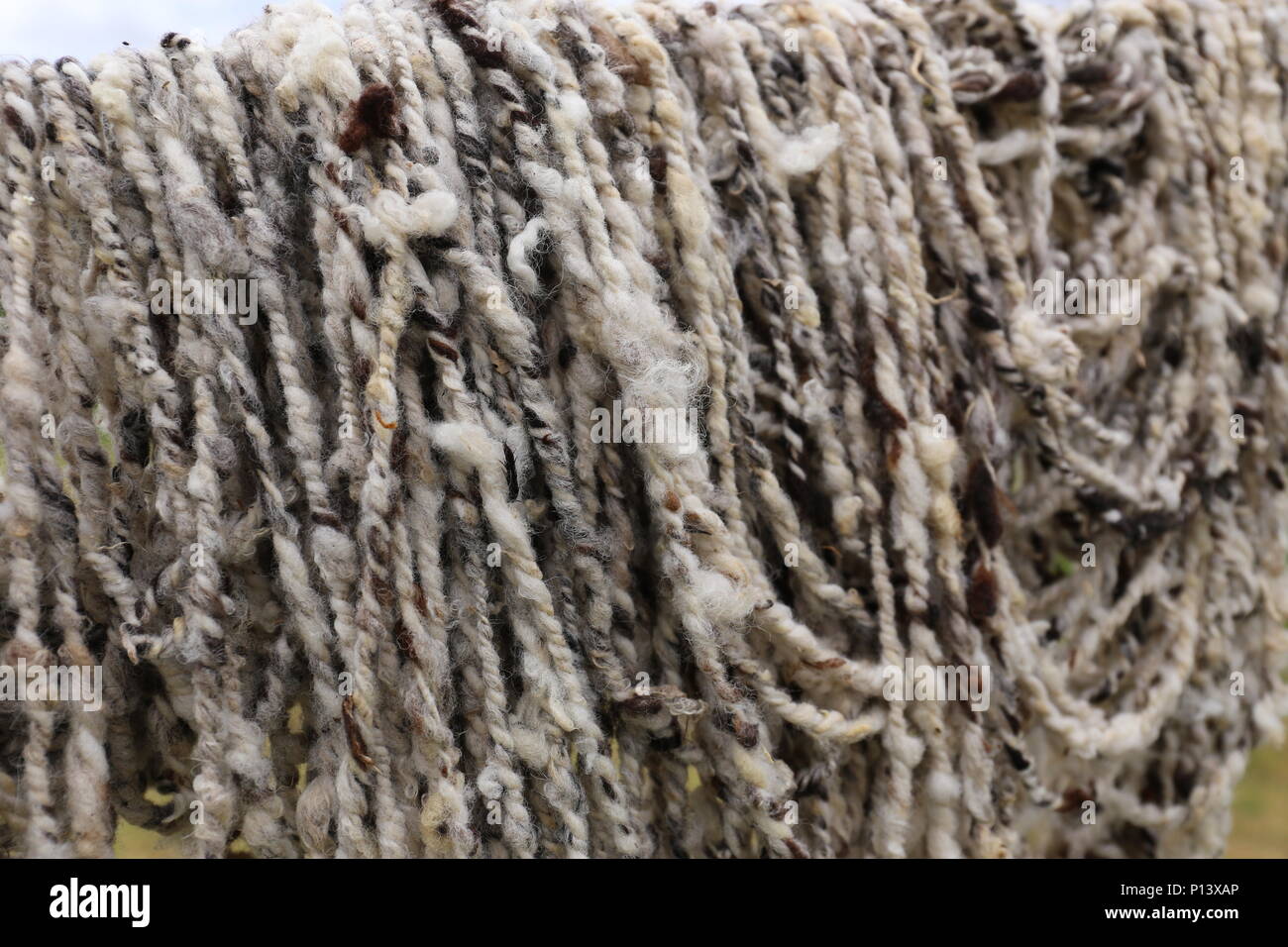 Sheep Wool fresh spinned Stock Photo - Alamy