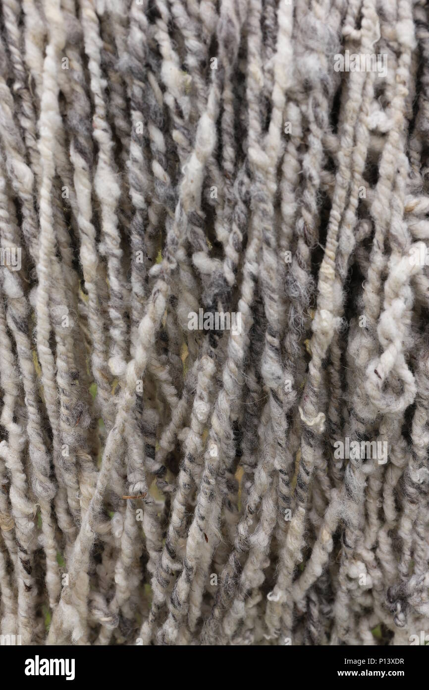 Sheep dye hi-res stock photography and images - Alamy