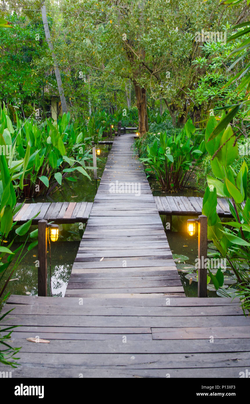 Timber walkway board walk in hi-res stock photography and images - Alamy