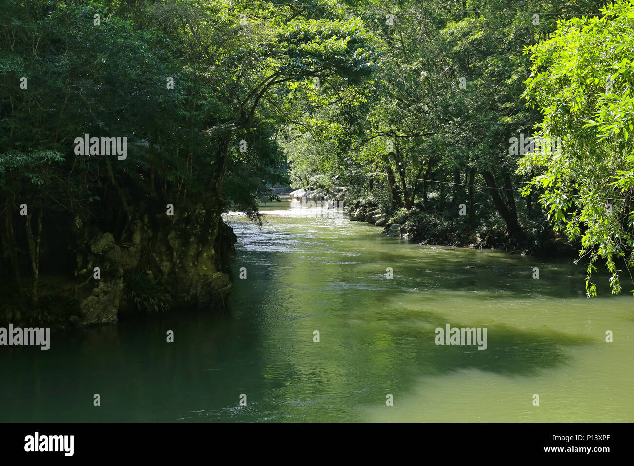 Reserva Natural Canon Rio Claro Stock Photo - Alamy