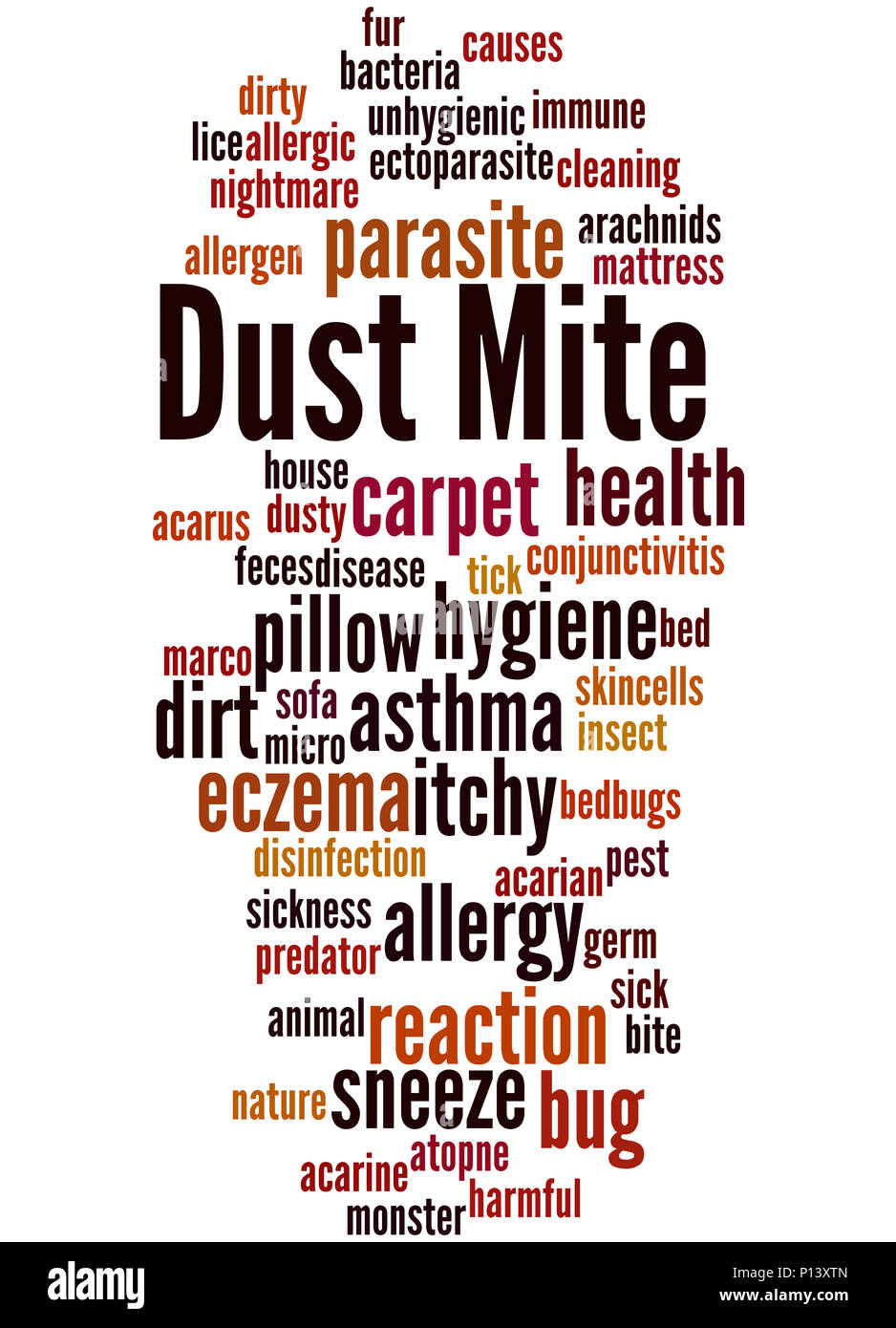 Dust mite, word cloud concept on white background Stock Photo - Alamy