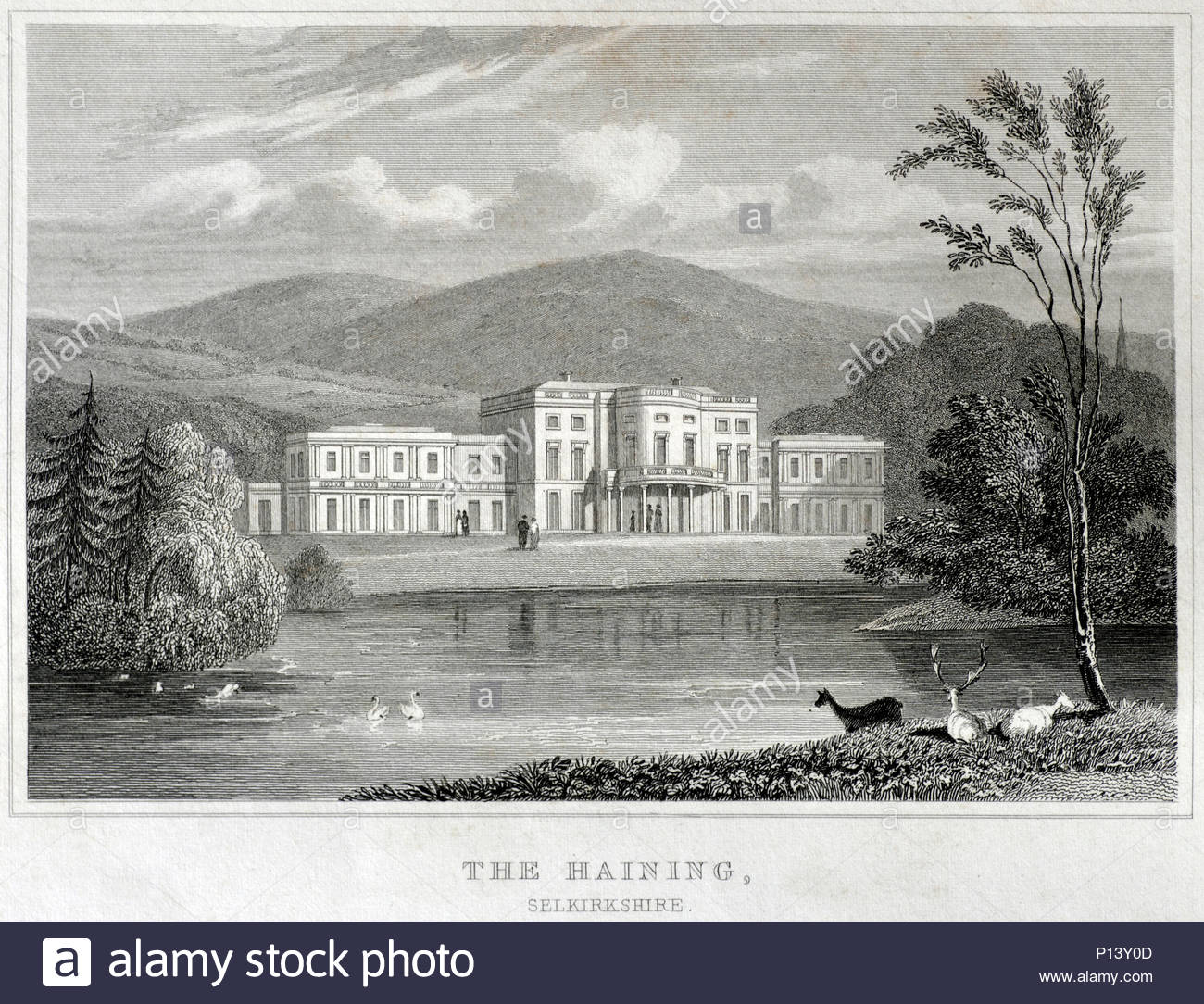 Selkirkshire Stock Photos & Selkirkshire Stock Images - Alamy
