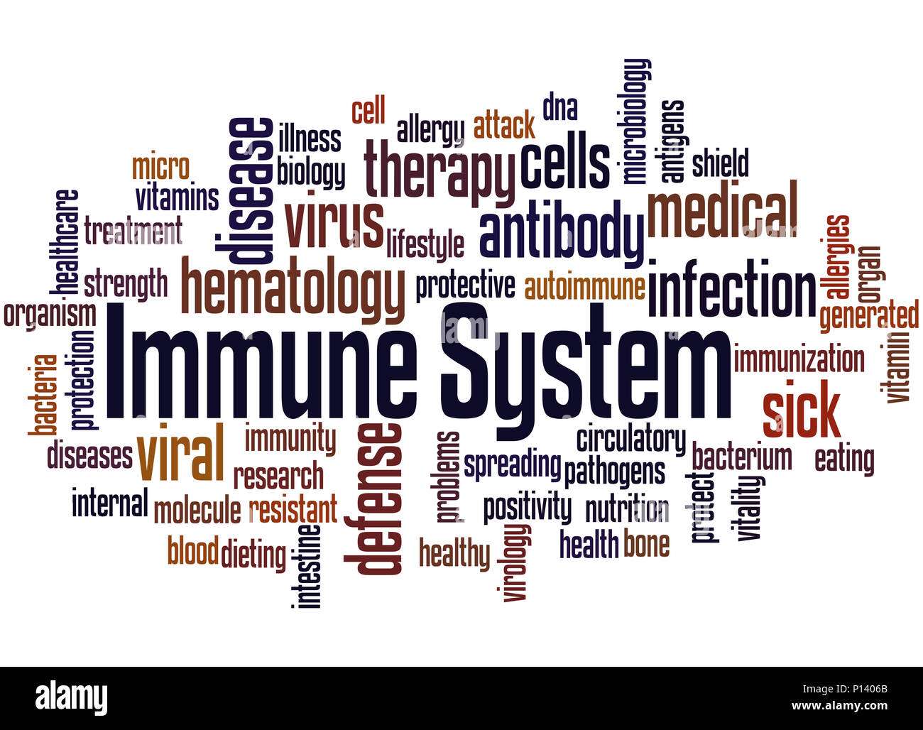 Immune system, word cloud concept on white background Stock Photo - Alamy