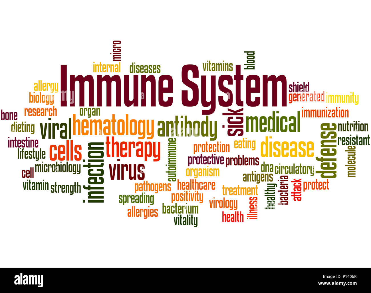 Immune system, word cloud concept on white background Stock Photo - Alamy