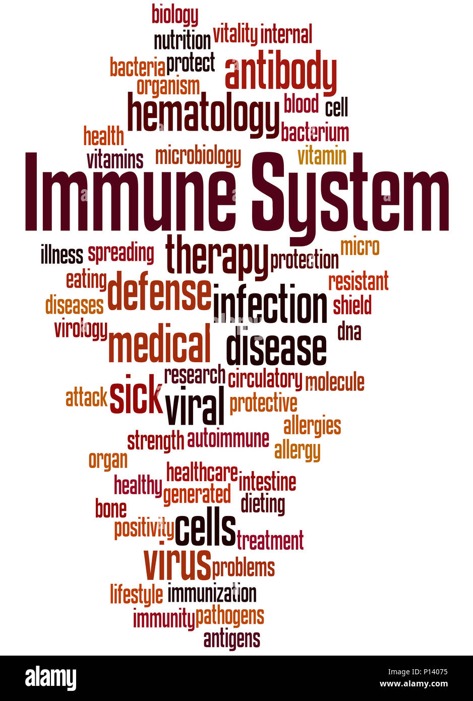 White blood cell attack bacteria hi-res stock photography and images ...