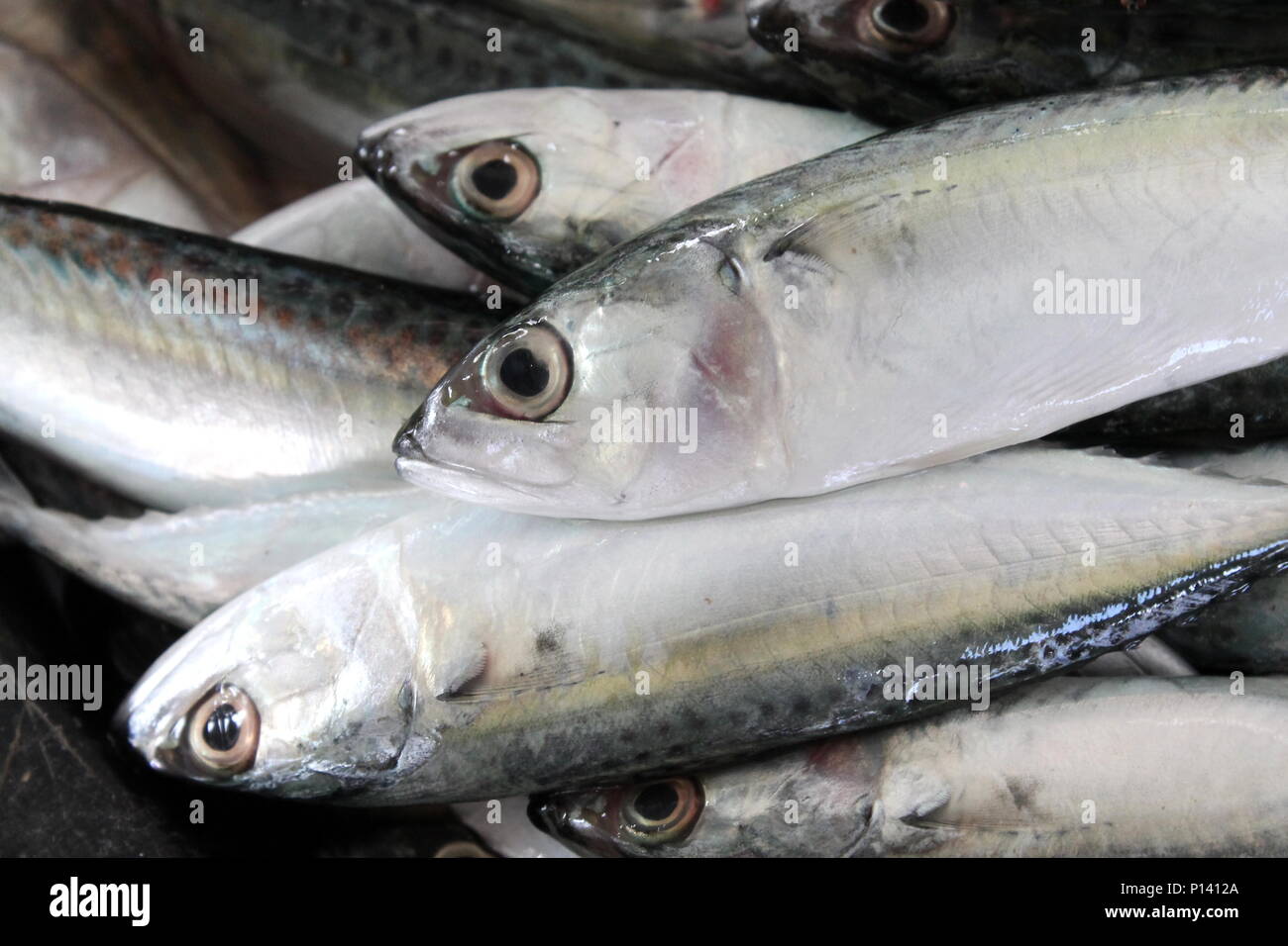 Dead fish sold at a fish market in Labuan Bajo, Flores, Indonesia Stock ...