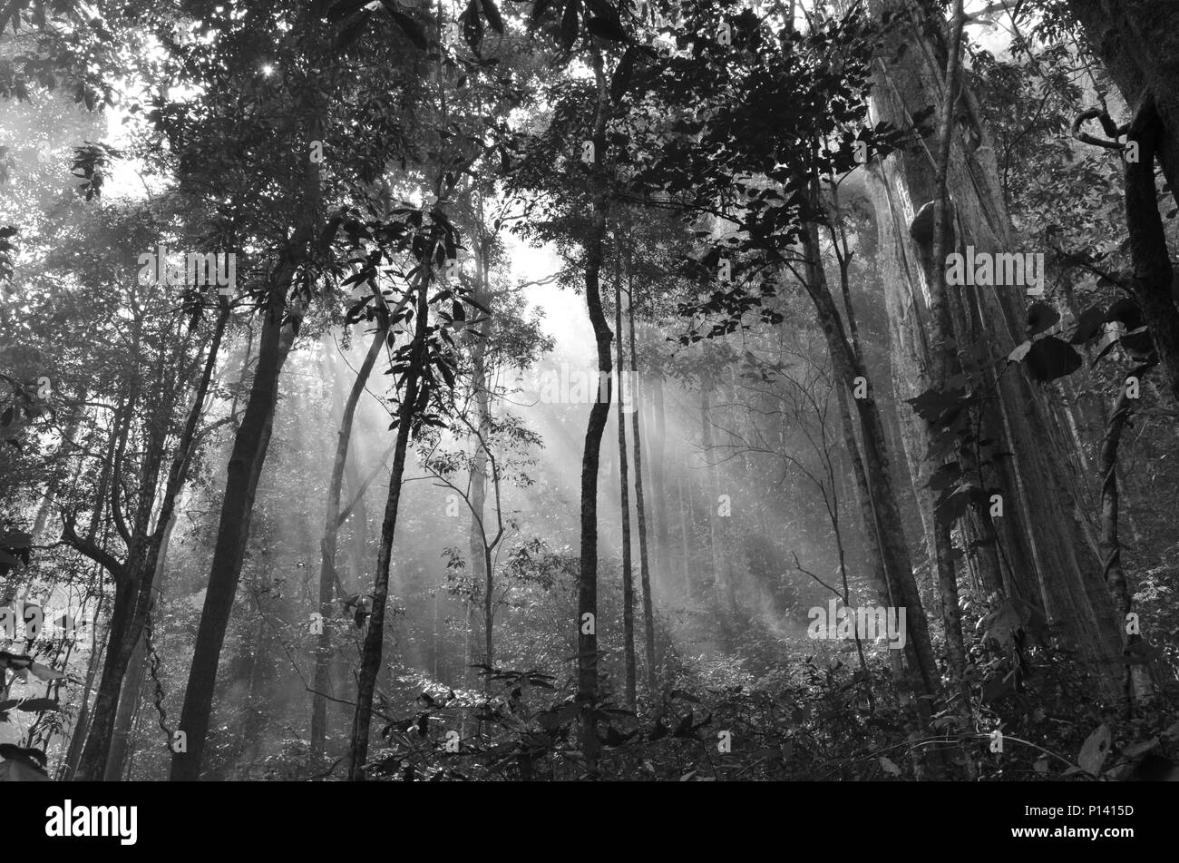 Solar beams black and white hi-res stock photography and images - Alamy