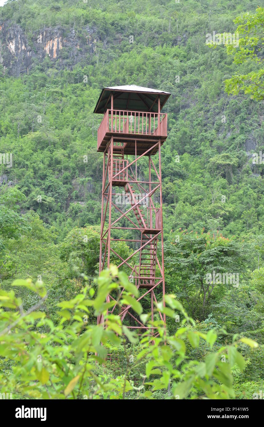 Tower for wildlife viewing Stock Photo - Alamy