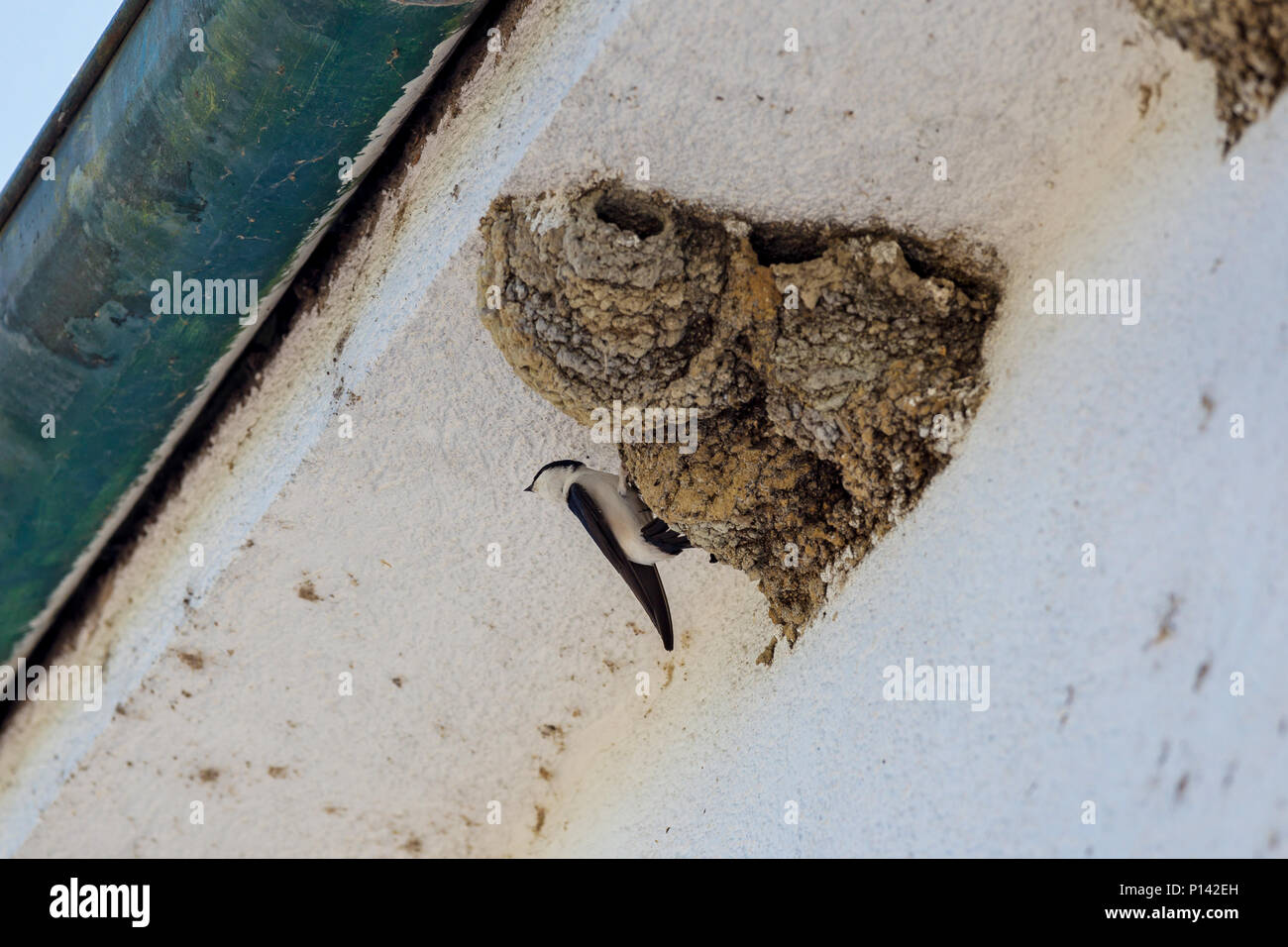 Drip stone hi-res stock photography and images - Alamy