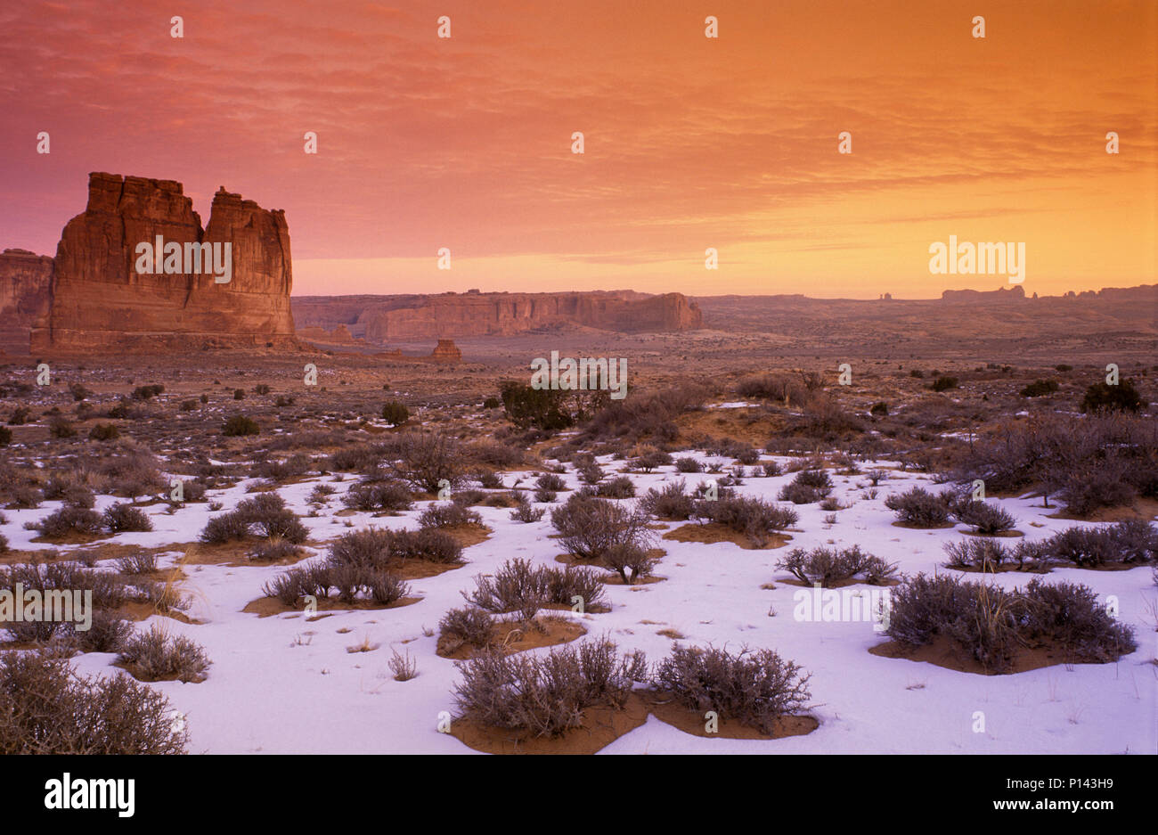 Early Morning Sunrise In The Desert