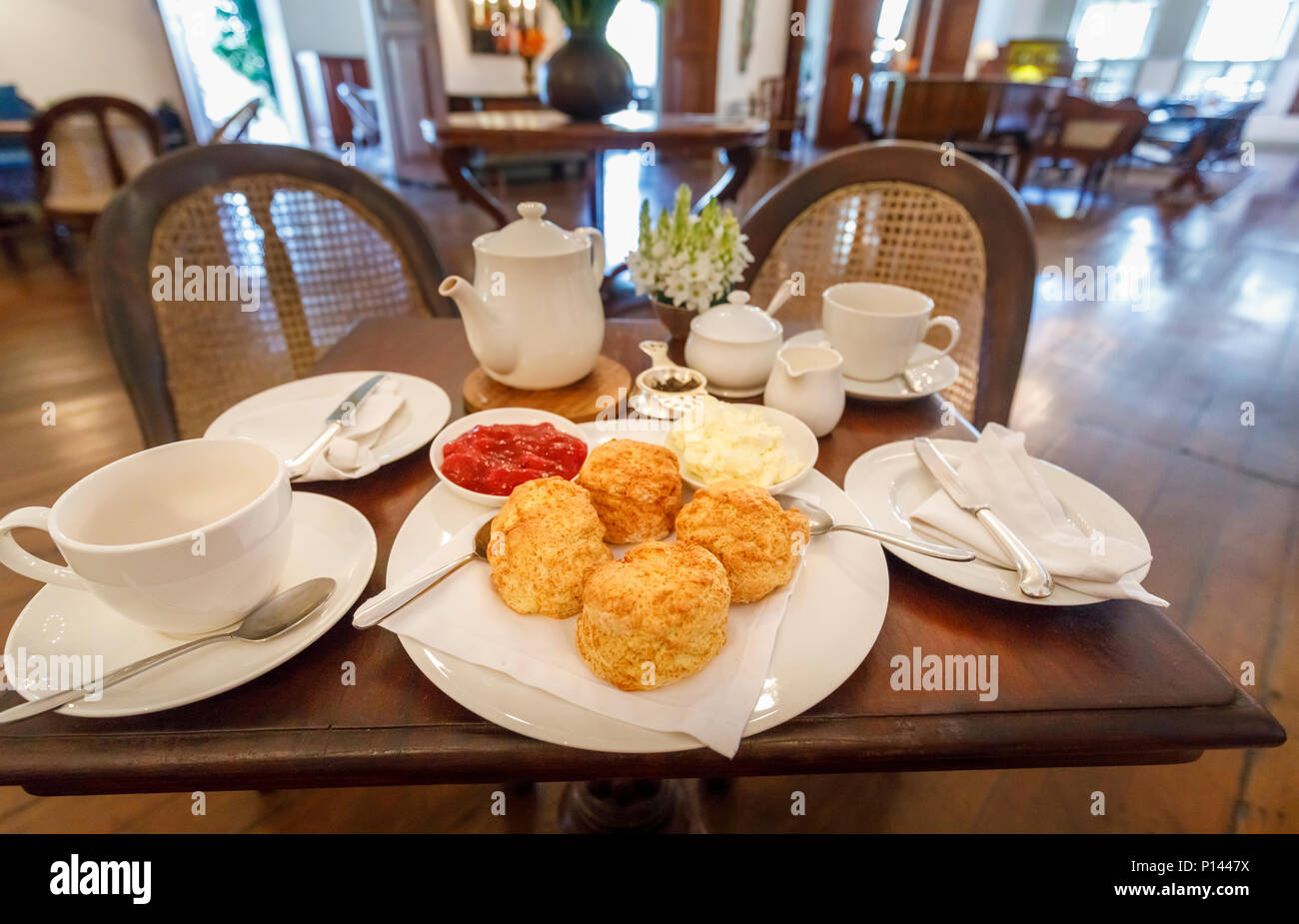 Galle sri lanka tea hi-res stock photography and images - Alamy