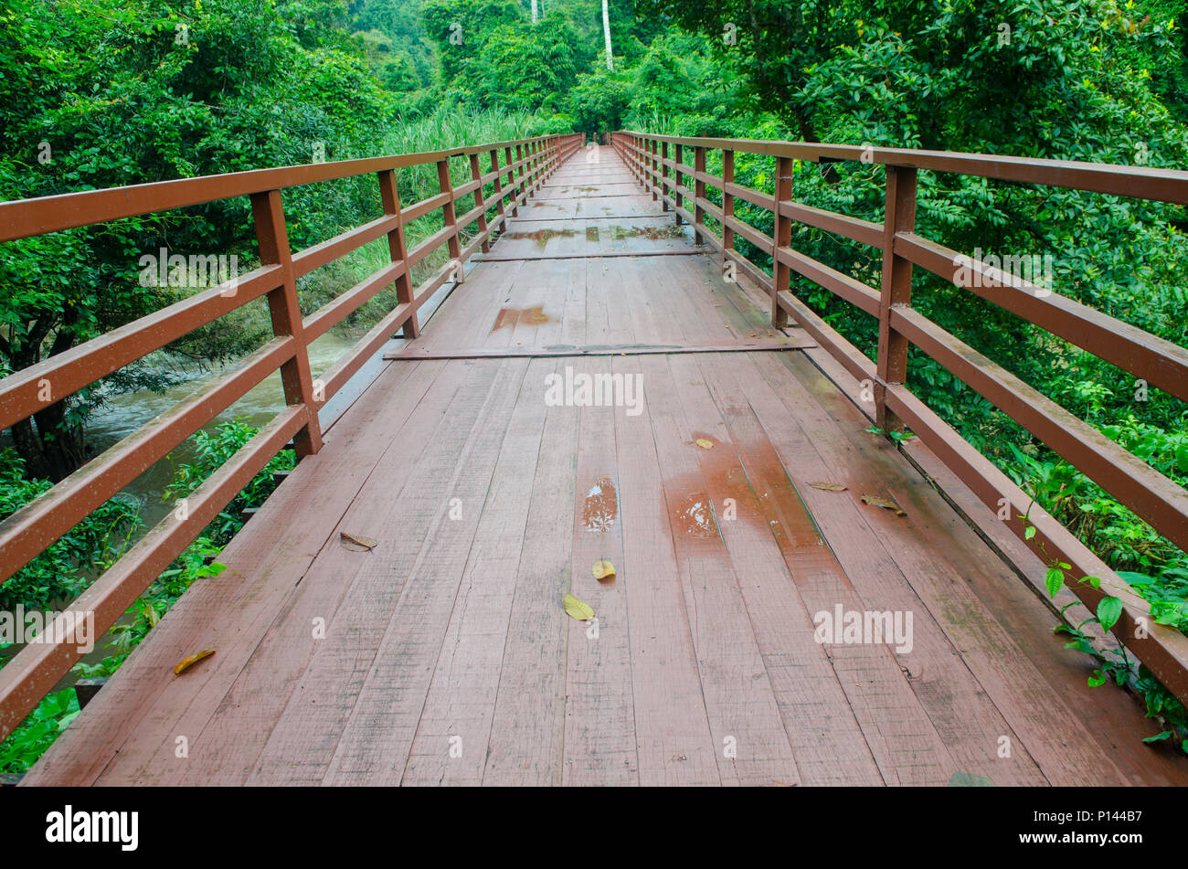 Bridge over the waterfall in Forest Stock Photo - Alamy