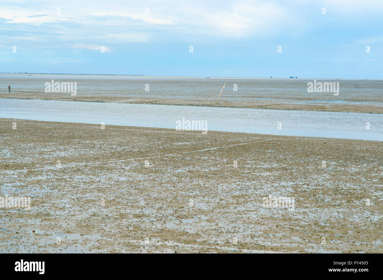 Wet muddy beach mountains hi-res stock photography and images - Alamy