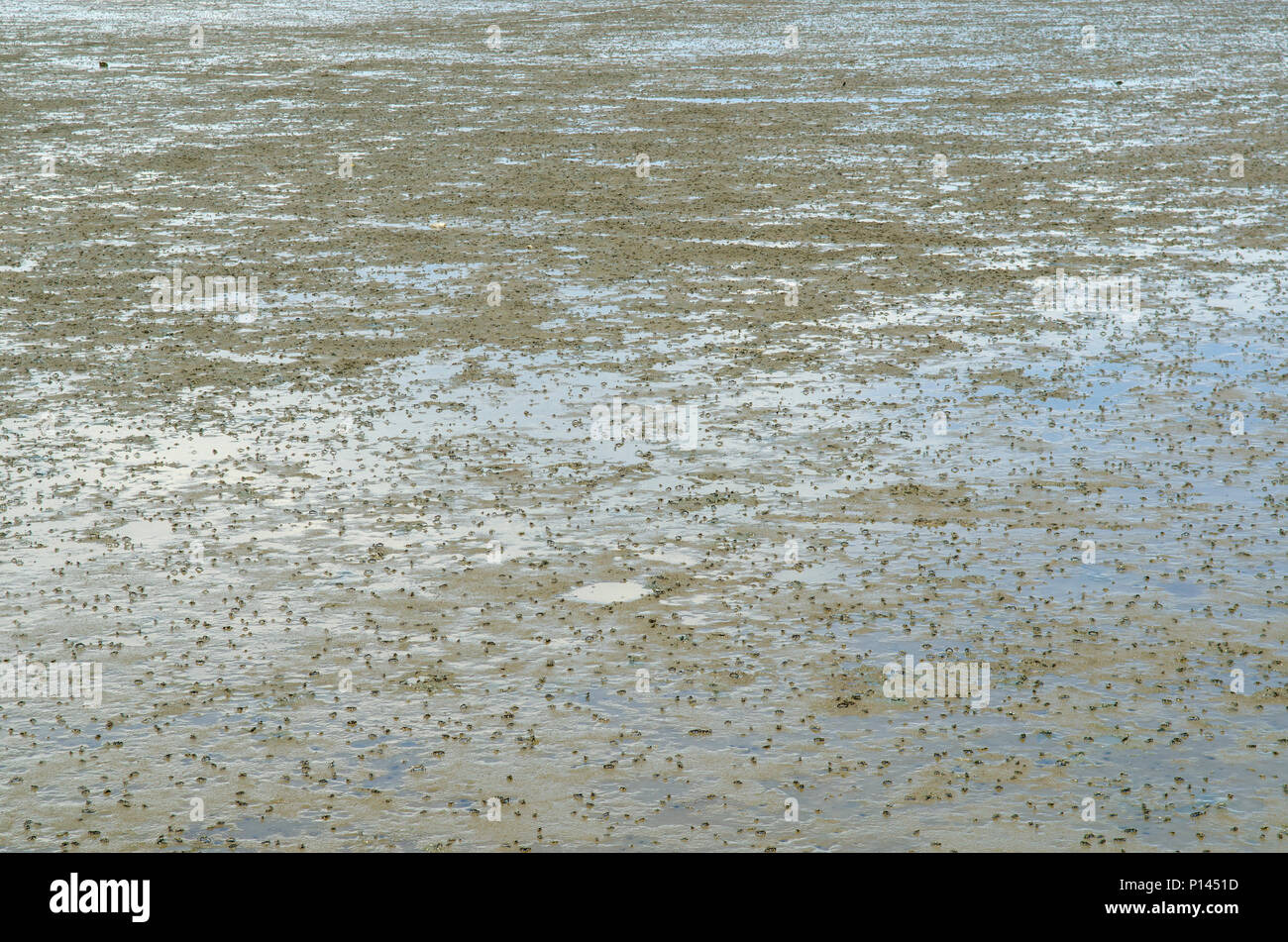 Muddy valleys hi-res stock photography and images - Alamy