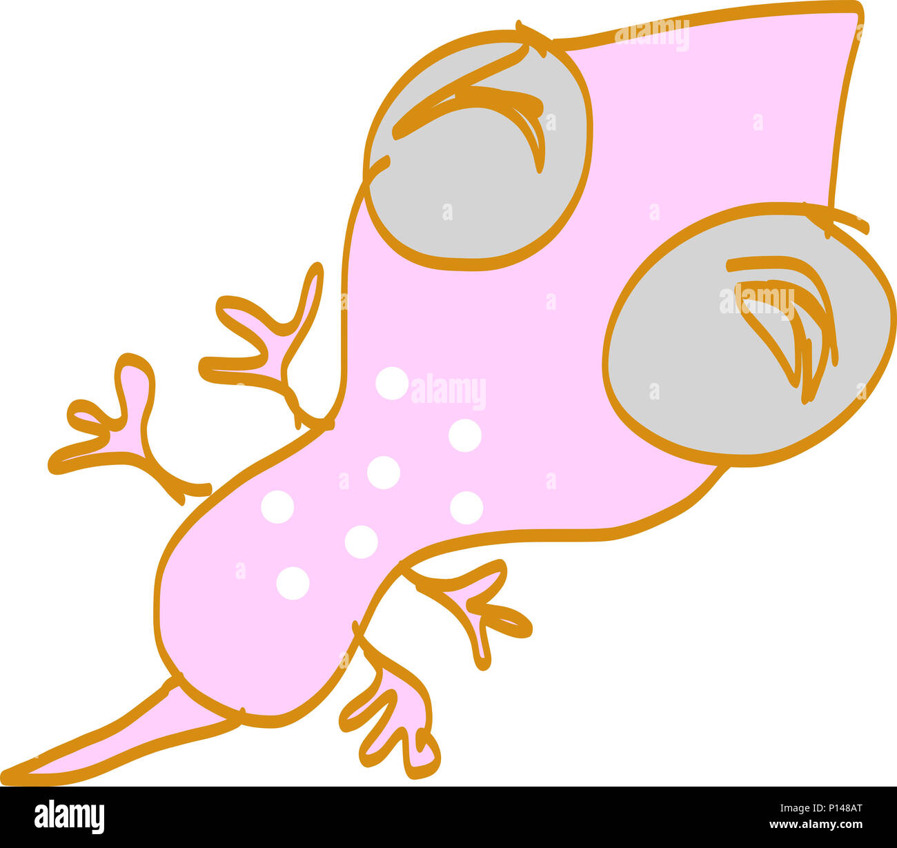 Pink gecko hi-res stock photography and images - Alamy