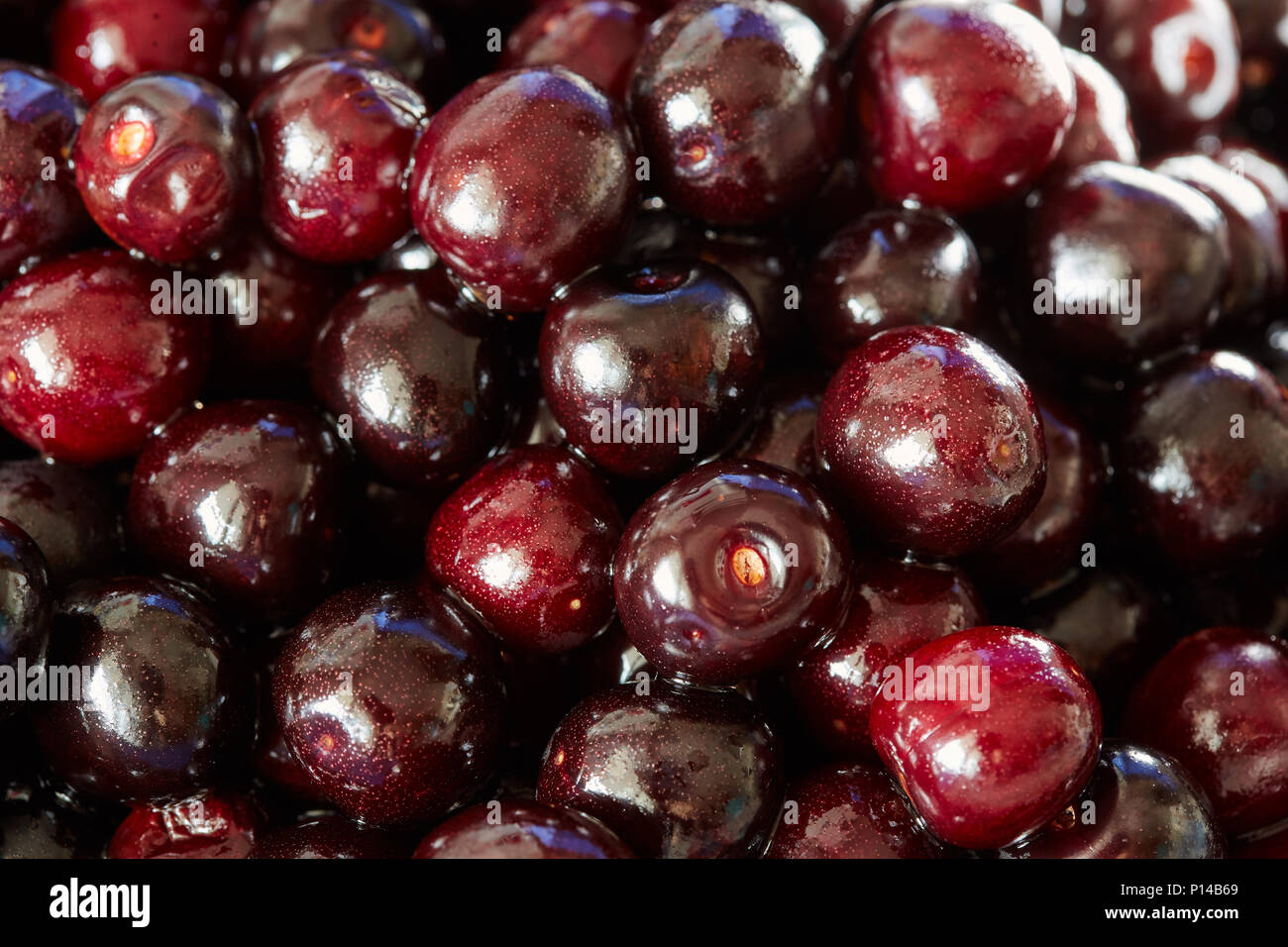 Bitterred hi-res stock photography and images - Alamy