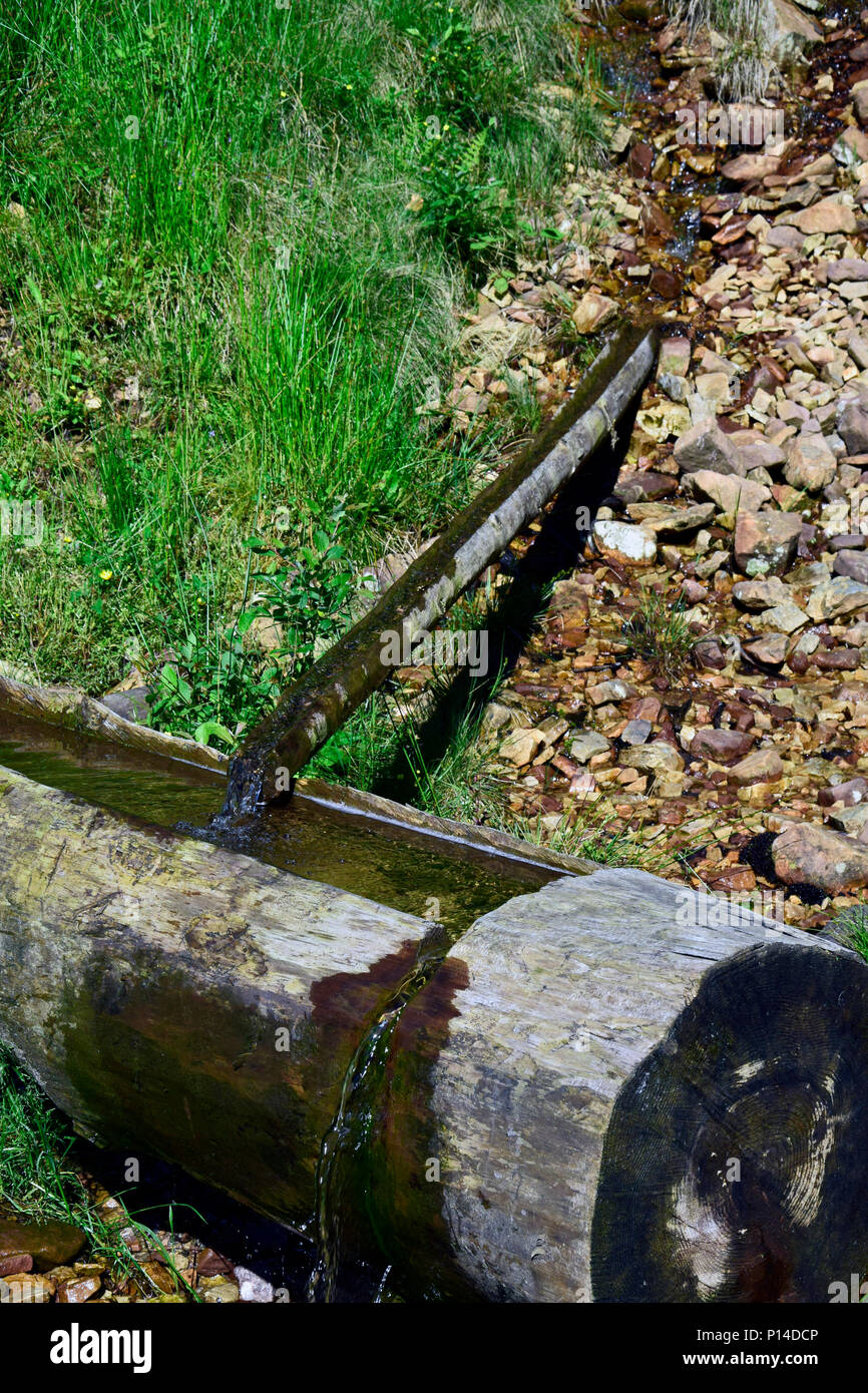 Water trough and gutter carved out from logs to collect spring water ...