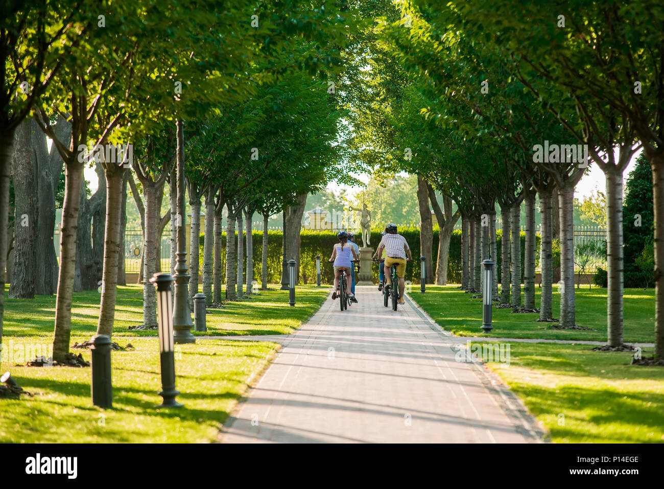 Students cycling in park, back view. Group of young people resting ...