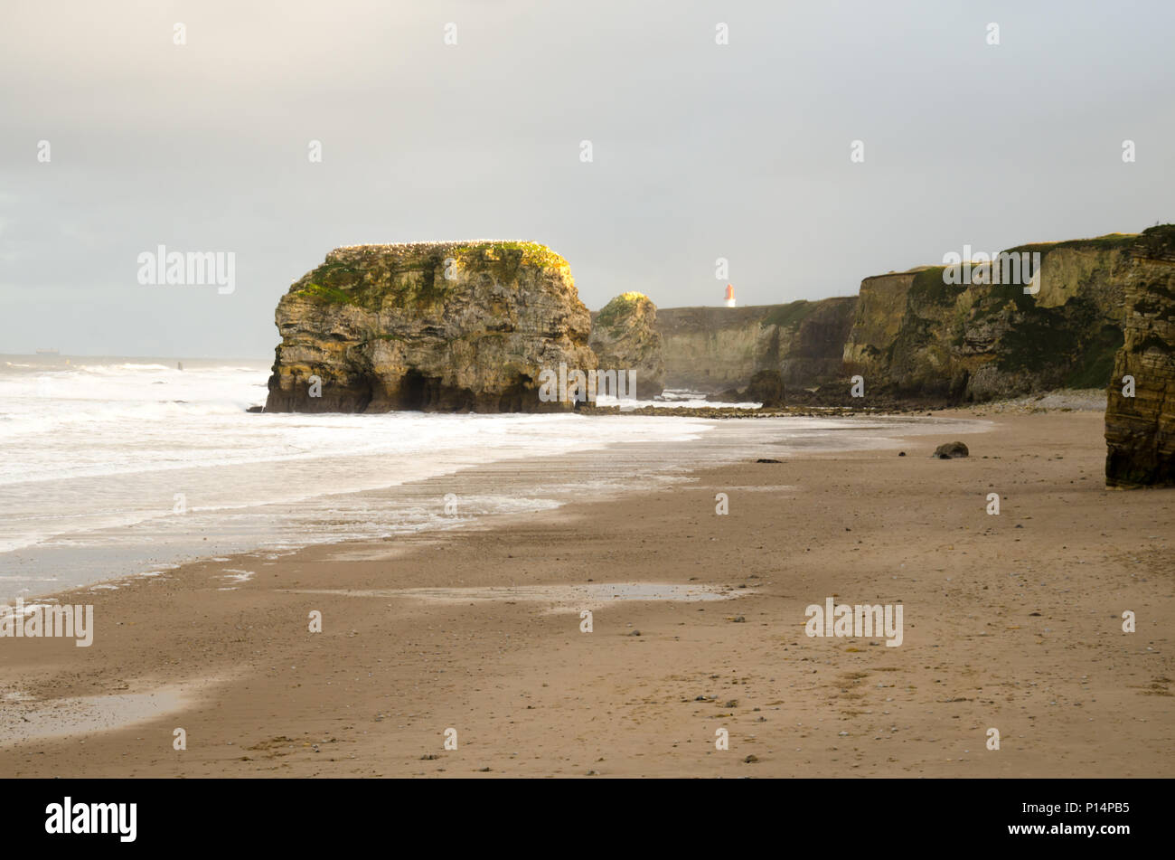 Marsden Beach, at Marsden, South Tyneside Stock Photo - Alamy