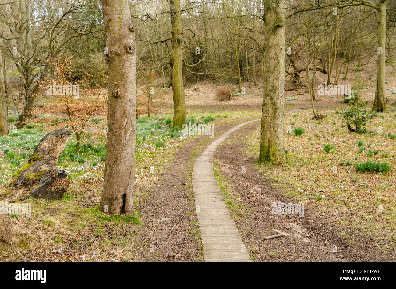 A Flower-lined Pathway at the Secret Garden, Doxford Park, Sunderland ...