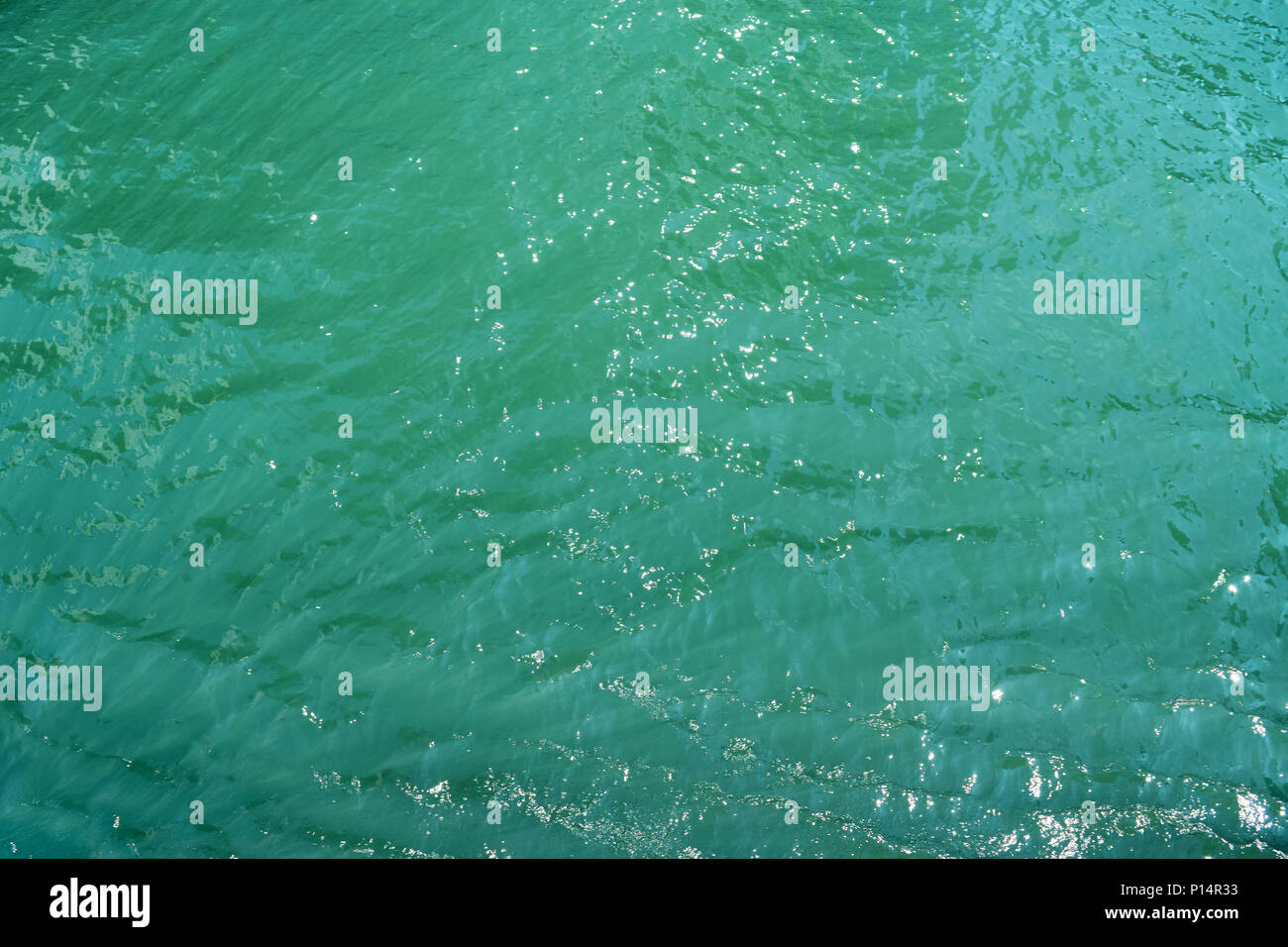 Green river water background (Chicago River, 2016 Stock Photo - Alamy
