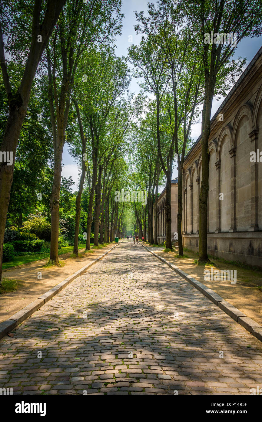 The wide, tree lined streets of Père Lachaise Cemetery are a perfect ...